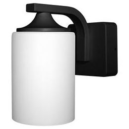 LEDVANCE LED Außenleuchte Endura Classic Lantern Cylinder schwarz