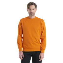 Icebreaker Merinomix Central II Sweatshirt - Mann - Earth - Größe S