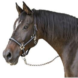 Kerbl - Cabazada Horse Mustang, Nylon, doppelte Einstellung, Schwarz, Gr¤e 1