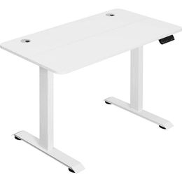 Höhenverstellbar Schreibtisch Elektrisch mit Tischplatte 120 x 60 cm und 4 Memory-Steuerungen Weiß + Weiß Gestell - WOLTU