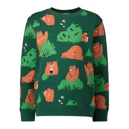 Stella McCartney Kids Gr&uuml;n Sweatshirt f&uuml;r Jungen