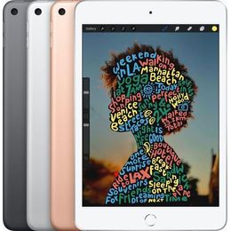 Apple iPad mini 5 (2019) | 7.9" | 256 GB | 4G | rosegold
