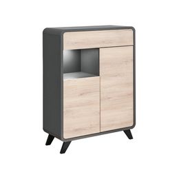 JVmoebel Vitrine Designer Einrichtung Luxus Schrank Neu Modern Möbel Made in Europa