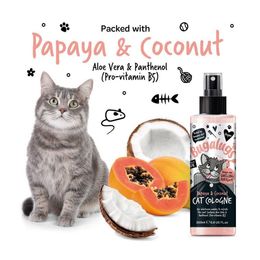 Bugalugs Fellpflege Bugalugs Katzenparfüm Papaya Kokosnuss Deo für Katzen