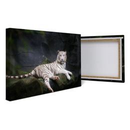 wandmotiv24 Leinwandbild Weißer Tiger sitzt in der Höhle