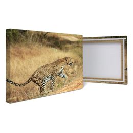 wandmotiv24 Leinwandbild Sri-Lankischer Leopard