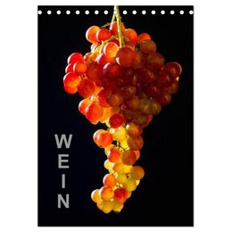 Calvendo Wandkalender Wein (Tischkalender 2024 DIN A5 hoch)