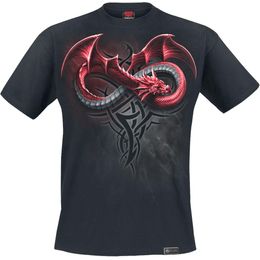 Spiral Infinity Dragons T-Shirt schwarz in L