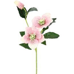 Kunstblume Christrose, I.GE.A., Höhe 57 cm, Künstlich Seidenblumen, 5er Set, rosa