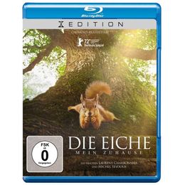 Die Eiche - Mein Zuhause (Blu-ray)