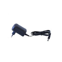 Nordic Play Charger for electric car 12 V battery