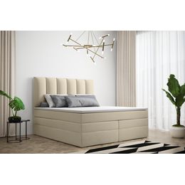 Doppel Boxspringbett Hamburg 160x200cm NB1GPLO1602001