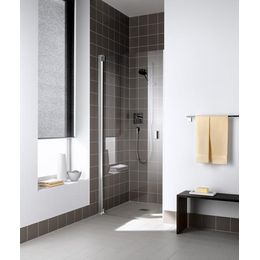 Kermi Pendelt&uuml;r Raya 1TR 0780x2000, silber hochglanz, ESG klar mit KermiClean, RA1TR07820VPK RA1TR07820VPK