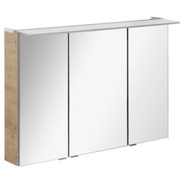 Fackelmann Spiegelschrank B.perfekt 100x69,5x23,5,AstEi,3T,Box, 84122 84122