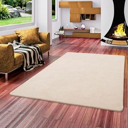 Snapstyle - Hochflor Luxus Velours Teppich Touch Beige Meliert - 200x250 cm