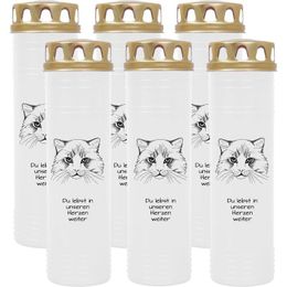 Hs Candle - Grabkerze Grablicht - 6er Pack mit Motiv ( Katze Kopf 1 ) - ca 100h / 4 Tage Brenndauer je Kerze ( 25cm, ø 7cm ) - viele versch. Deisgns