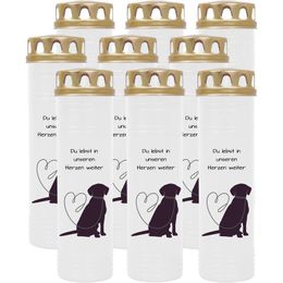 Hs Candle - Grabkerze Grablicht - 9er Pack mit Motiv ( Hund Leine ) - ca 100h / 4 Tage Brenndauer je Kerze ( 25cm, ø 7cm ) - viele versch. Deisgns