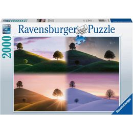 Ravensburger Puzzle Stimmungsvolle Bäume und Berge, 2000 Puzzleteile, Made in Germany; FSC®- schützt Wald - weltweit, bunt