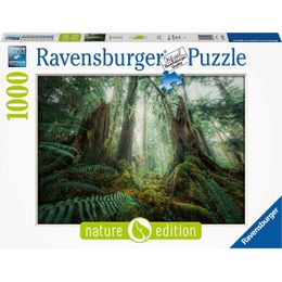 Ravensburger Puzzle Faszinierender Wald, 1000 Puzzleteile, Made in Germany; FSC®- schützt Wald - weltweit, bunt