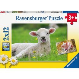 Ravensburger Puzzle Unsere Bauernhoftiere, 24 Puzzleteile, Made in Europe; FSC®- schützt Wald - weltweit, bunt
