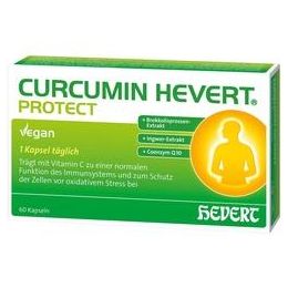 Curcumin Hevert Protect Kapseln 60 St