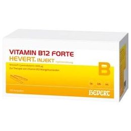 Vitamin B12 Forte Hevert injekt Ampullen 100X2 ml