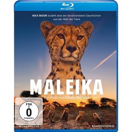 EuroVideo Medien GmbH Maleika (Blu-ray)