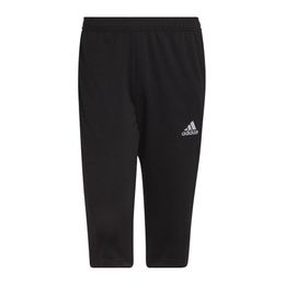 adidas Performance Sporthose Entrada 22 3/4 Trainingshose