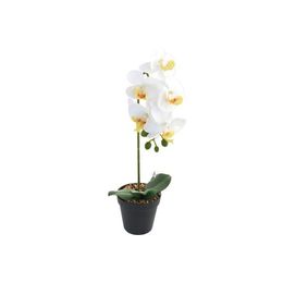 Expo-Börse Künstliche Orchidee Weiss im Topf Höhe 40 cm Kunstblume Pflanze