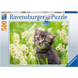 Ravensburger Puzzle Kätzchen in der Wiese, 500 Puzzleteile, Made in Germany; FSC®- schützt Wald - weltweit, bunt