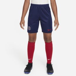 Paris Saint-Germain 2023/24 Stadium Home/Away Nike Dri-FIT Fußball-Shorts für ältere Kinder - Blau