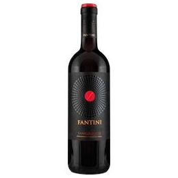 Fantini Sangiovese Terre di Chieti IGT