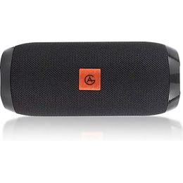 AG AG220 Bluetooth-Lautsprecher (Bluetooth