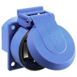 AS Schwabe Steckdose AS Schwabe 45085 Einbau-Steckdose IP54 Blau