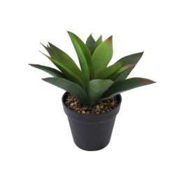 Expo-Börse Künstliche Aloe Vera im Topf mit Steindeko Höhe 22 cm Pflanze grün