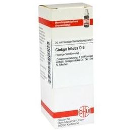 DHU-Arzneimittel Ginkgo Biloba D 6 Dilution 20 ml