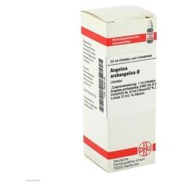 DHU-Arzneimittel Angelica Archangelica Urtinktur D 1 20 ml