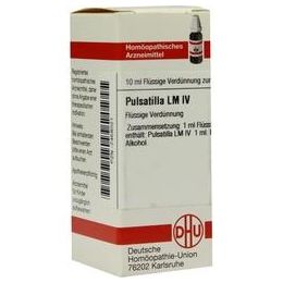DHU-Arzneimittel Pulsatilla LM IV Dilution 10 ml