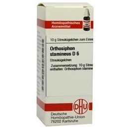 DHU-Arzneimittel Orthosiphon Stamineus D 6 Globuli 10 g