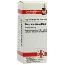 DHU-Arzneimittel Teucrium Scorodonia D 6 Globuli 10 g