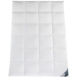 Häussling Daunenbettdecke HAEUSSLING "Kuscheltraum" Bettdecken Gr. B/L: 135 cm x 200 cm, warm, weiß Allergiker Bettdecke