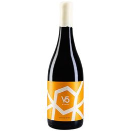 Vinícola de Valdepeñas 2022 V5 by Concejal Orange Wine Castilla VT trocken