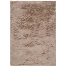 Teppich OCI DIE TEPPICHMARKE "BUFFY SOFT" Teppiche Gr. B/L: 160 cm x 230 cm, 25 mm, 1 St., grau (taupe) Esszimmerteppiche
