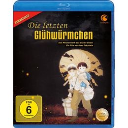 CRUNCHYROLL Die letzten Glühwürmchen (Blu-ray)