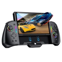 HYTIREBY Switch Controller für Nintendo Switch/OLED Gamepad (mit Großer Griffe/Turbo Funktion/Dual Motors Vibration)