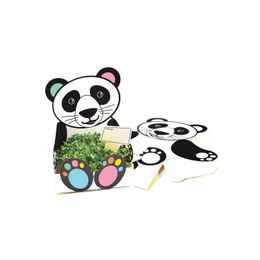 Eduplay Experimentierkasten Pflanzschale Panda