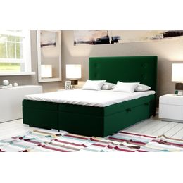 JVmoebel Boxspringbett Schlafzimmer Bett Polster Modern Design Luxus Doppelbett Boxspringbett