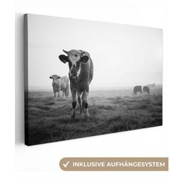 OneMillionCanvasses® OneMillionCanvasses® Leinwandbild Kühe im Morgennebel schwarz-weiß Foto