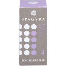 SPAGYRA Sch&uuml;ssler NR.4 Kalium chloratum D 6 Globuli 10 g