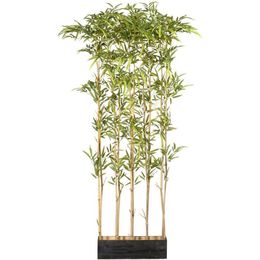 Künstliche Zimmerpflanze Bambusraumteiler Bambus, Creativ green, Höhe 160 cm, im Holzkasten, grün